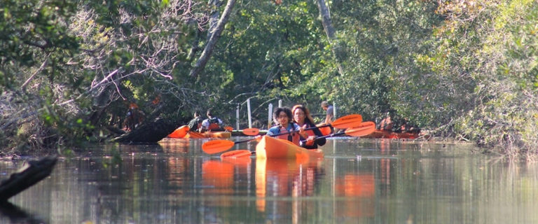 Back Bay Kayak Tour - Ocean Rentals Ltd Sandbridge VA