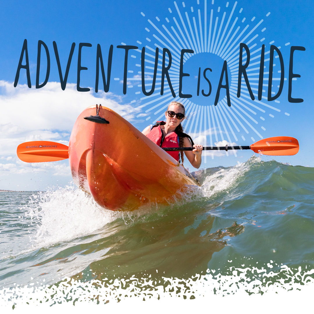 Ocean Rentals of Sandbridge - Virginia Beach